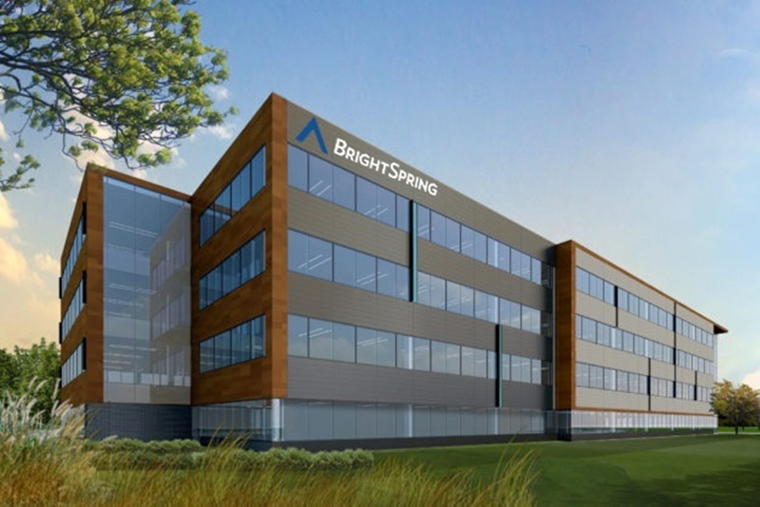 BrightSpring Listed Among 10 Memorable Stories in 2018 - BrightSpring ...